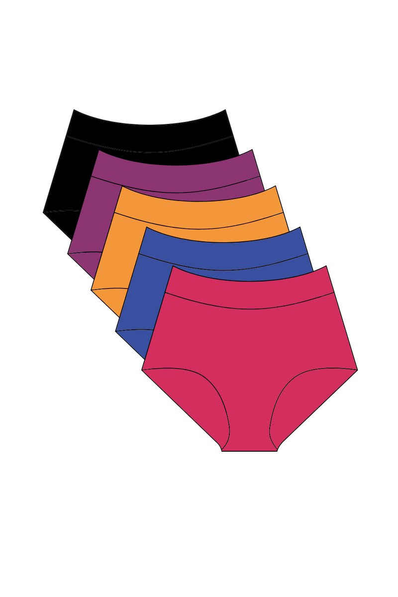 Classics Brief 5 Pack